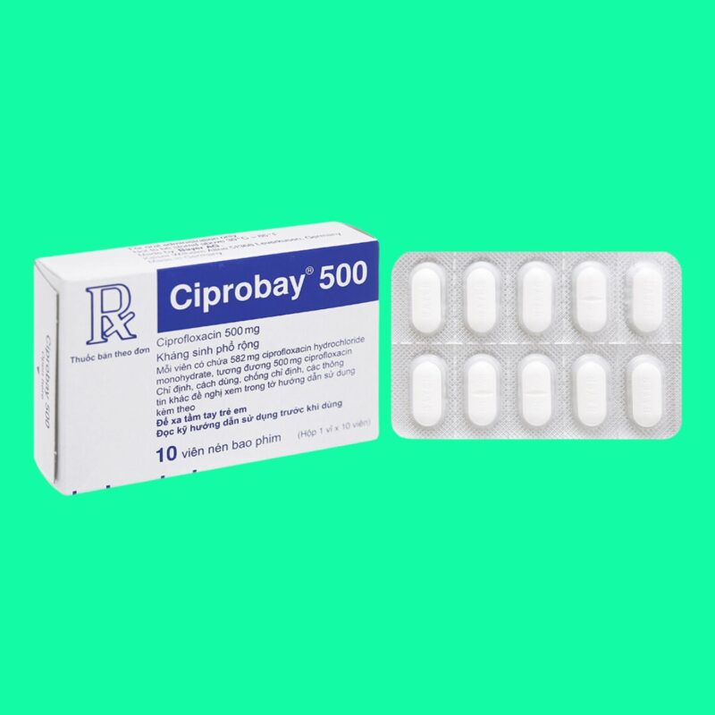 Ciprobay 500 mg là thuốc gì? Giá bao nhiêu, mua ở đâu? Có tốt không?
