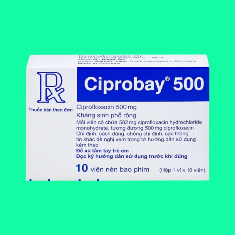 Ciprobay 500 mg là thuốc gì? Giá bao nhiêu, mua ở đâu? Có tốt không?