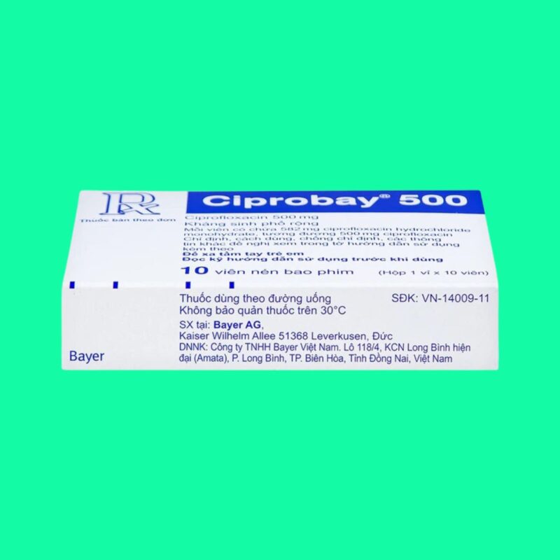 Ciprobay 500 mg là thuốc gì? Giá bao nhiêu, mua ở đâu? Có tốt không?