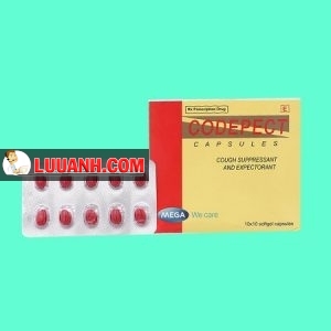 Codepect là thuốc gì? Chỉ định, cách dùng và những lưu ý cần biết