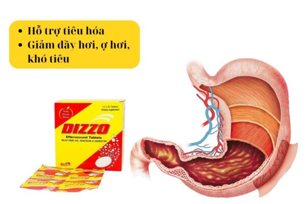 Viên sủi Dizzo hỗ trợ tiêu hóa giá bao nhiêu? mua ở đâu? có tác dụng gì?