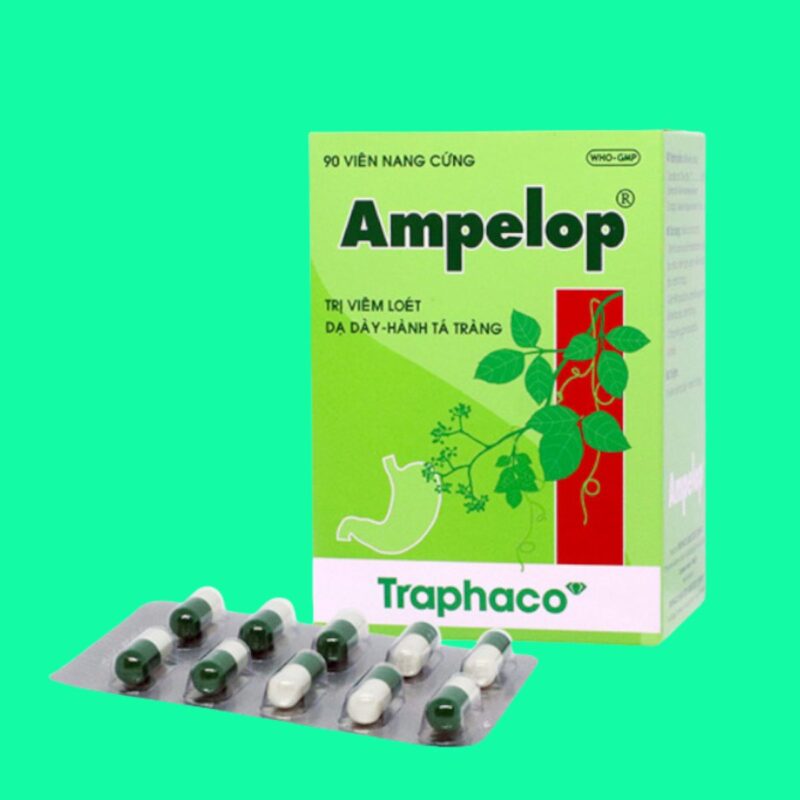 Thuốc Ampelop: Công dụng, liều dùng, lưu ý tác dụng phụ, giá bán