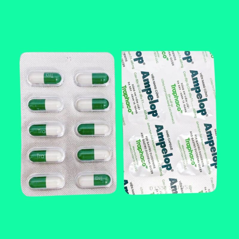 Thuốc Ampelop: Công dụng, liều dùng, lưu ý tác dụng phụ, giá bán