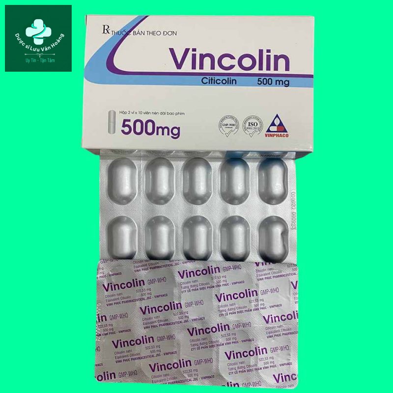 Thuốc Vincolin 500mg dạng viên giá bao nhiêu? Mua ở đâu uy tín?