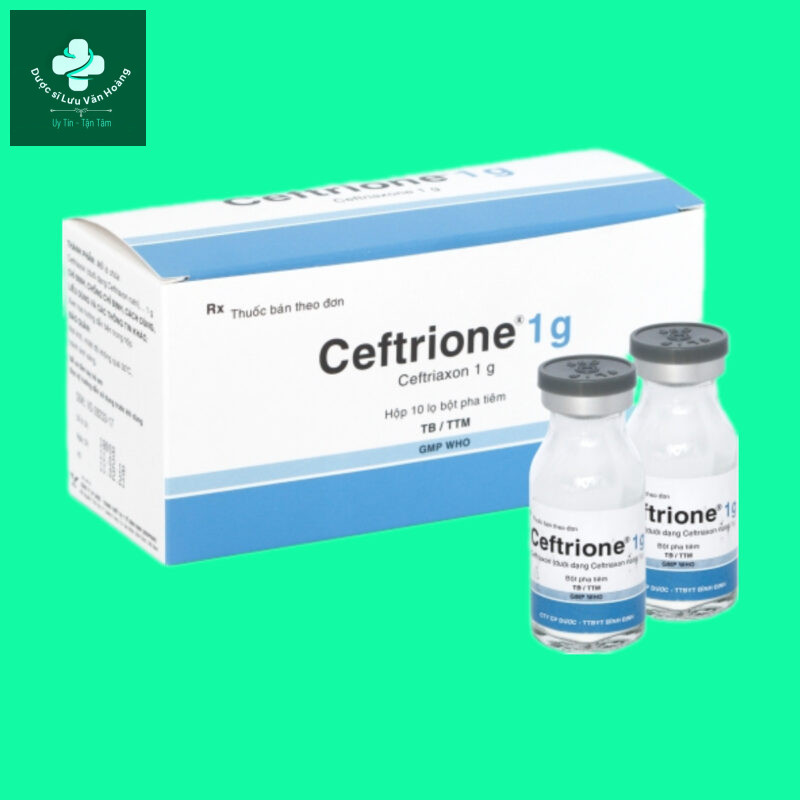 Thuốc Ceftrione 1g: Kháng sinh điều trị nhiễm khuẩn ở người lớn và trẻ nhỏ - Dược sĩ Lưu Văn Hoàng