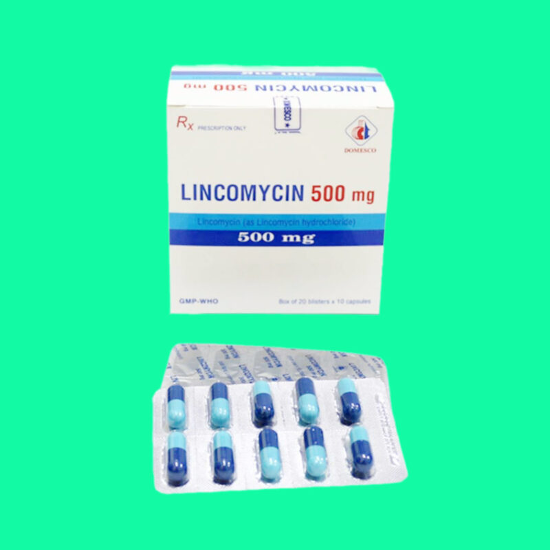 Thuốc Lincomycin 500mg Domesco: Điều trị tình trạng nhiễm khuẩn nặng ...