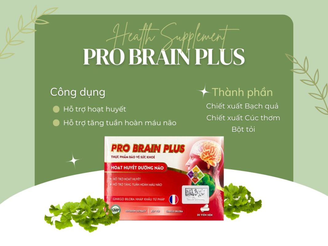 Viên nén Pro Brain Plus cải thiện tuần hoàn máu não, giảm đau đầu