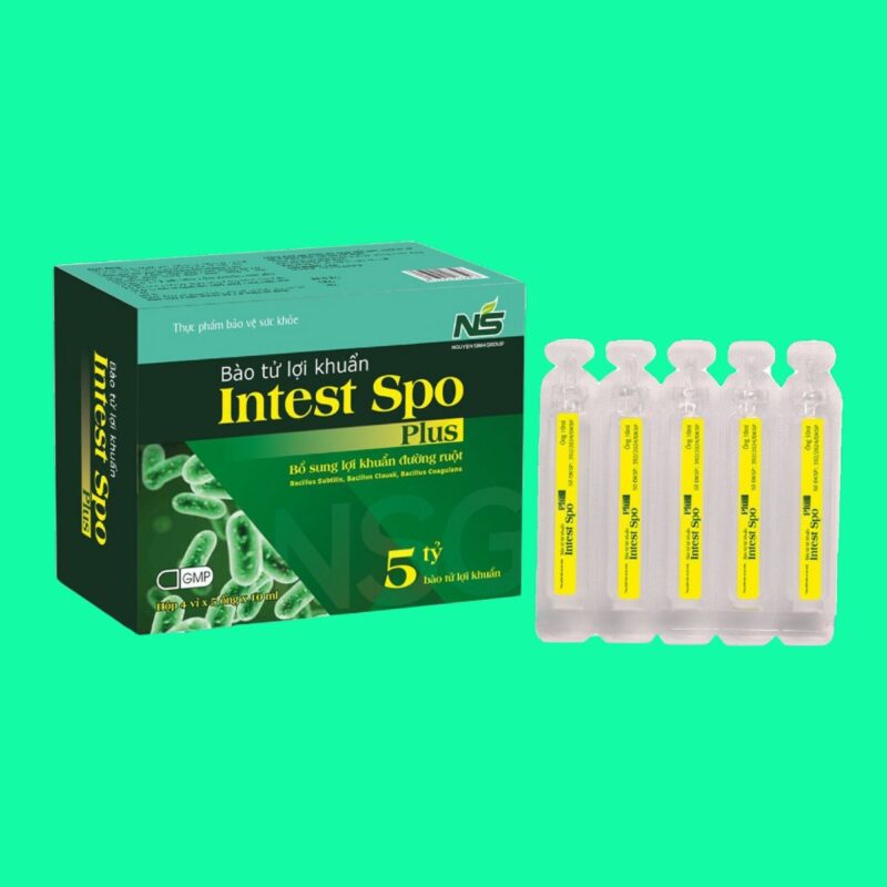 Bào tử lợi khuẩn Intest Spo Plus giảm triệu chứng rối loạn tiêu hóa