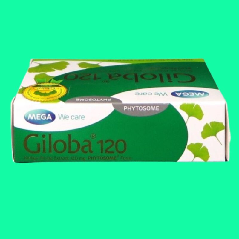 Thuốc Giloba 120 (Ginkgo biloba) – hỗ trợ tăng cường tuần hào nãot