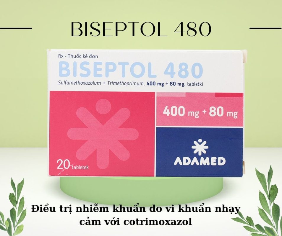 Thuốc Biseptol 480 điều trị nhiễm khuẩn do vi khuẩn nhạy cảm