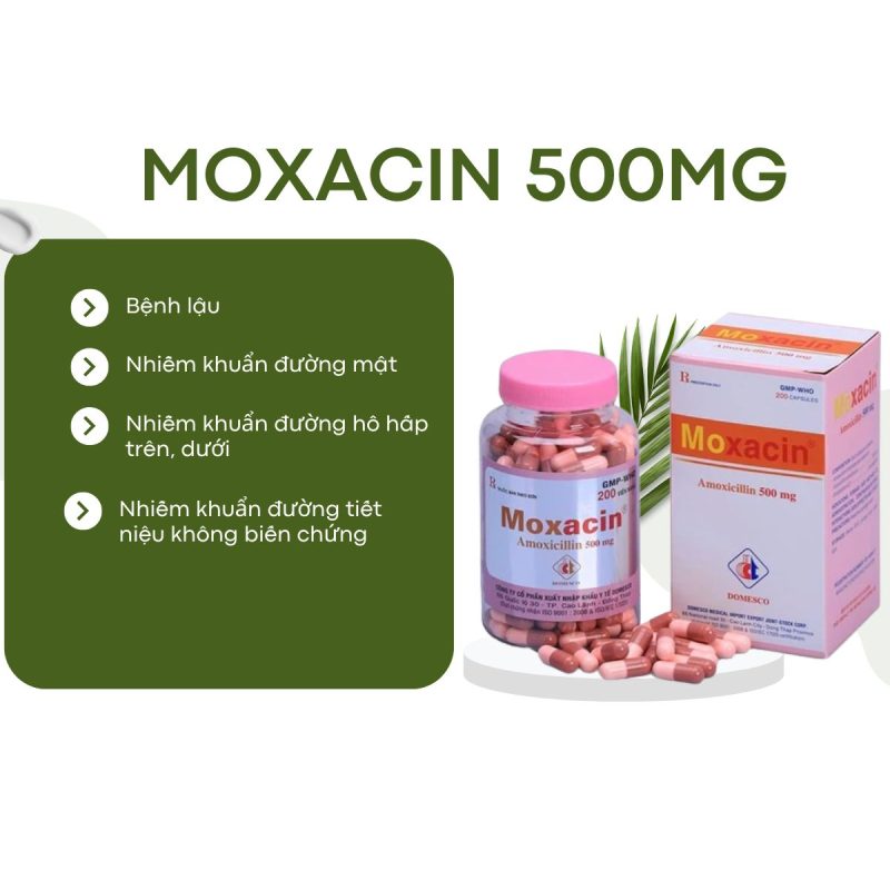 Moxacin 500mg điều trị nhiễm trùng do vi khuẩn trong nhiễm khuẩn đường mật