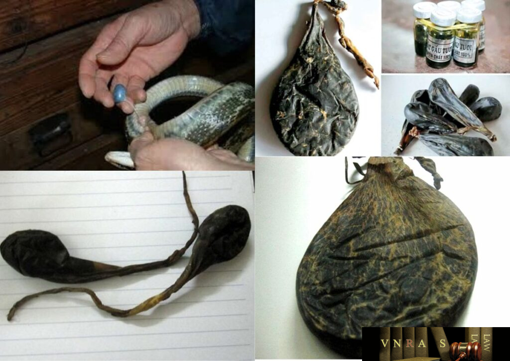 Mật Động Vật (Đởm) - Những cây thuốc và vị thuốc Việt Nam - Đỗ Tất Lợi ...
